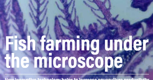The Aquaculturists: Fish farming under the microscope: How innovative ...