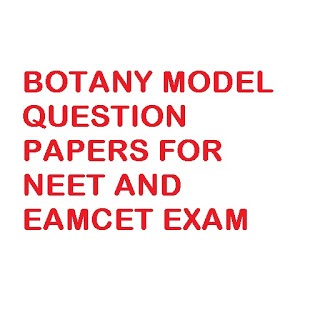 ALL QUESTION PAPERS , IBPS PAPERS , PREVIOUS PAPERS,GATE,ARS,SBI PO ...
