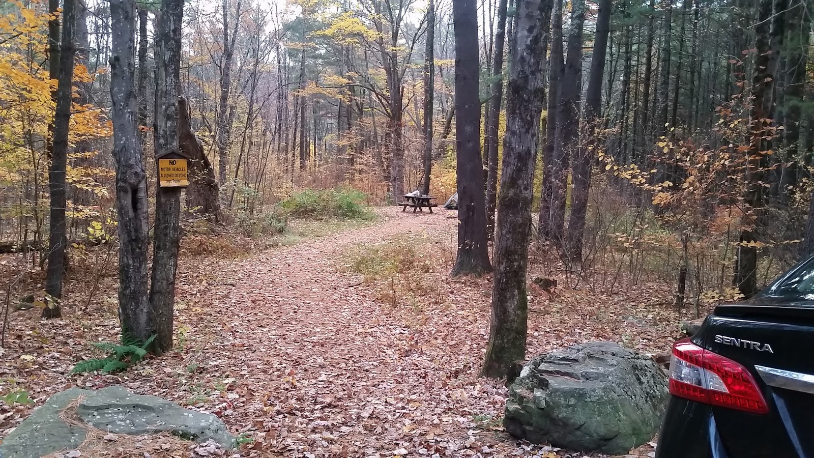 Primitive Campsites: Allaben, NY