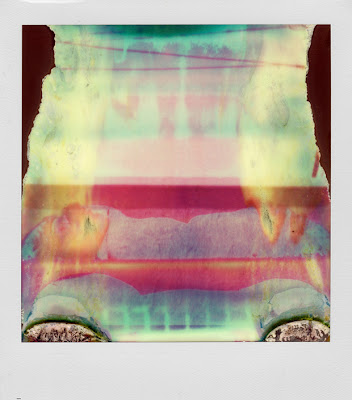 Alpines: WILLIAM MILLER: 'Ruined Polaroids'