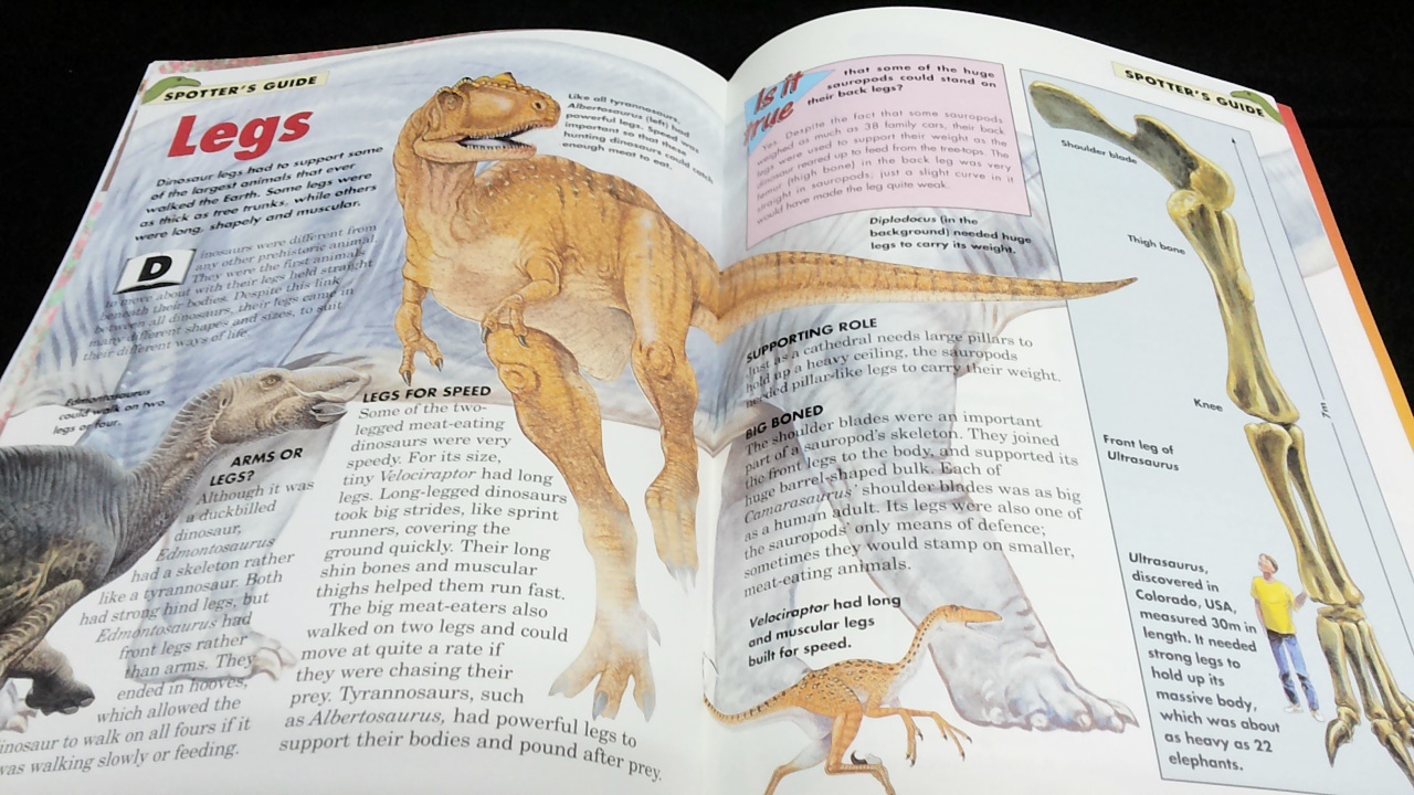 Kid Books Blog: 66.ชุด Dinosaurs Discover the Giants of the Prehistoric ...