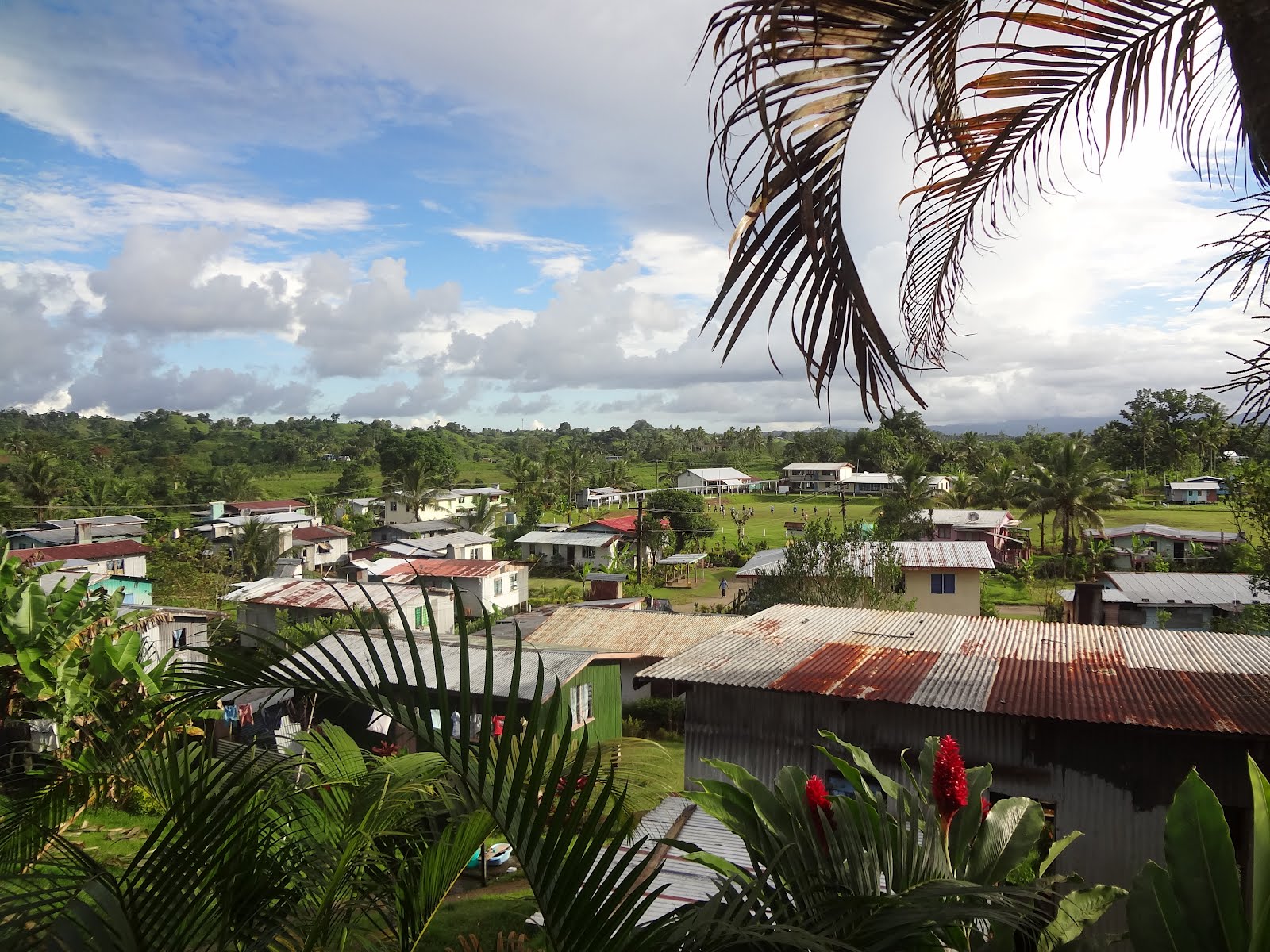 in the land of hibiscus: Lutu