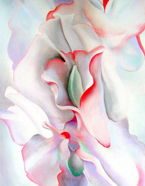 pinkpagodastudio: Georgia O'Keeffe-- The Faraway