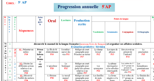 Progression annuelle 5AP PDF