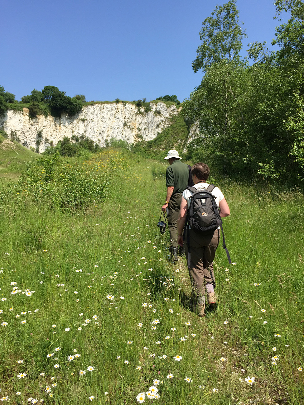 Riddlesdown Quarry, Early Summer | Naturally