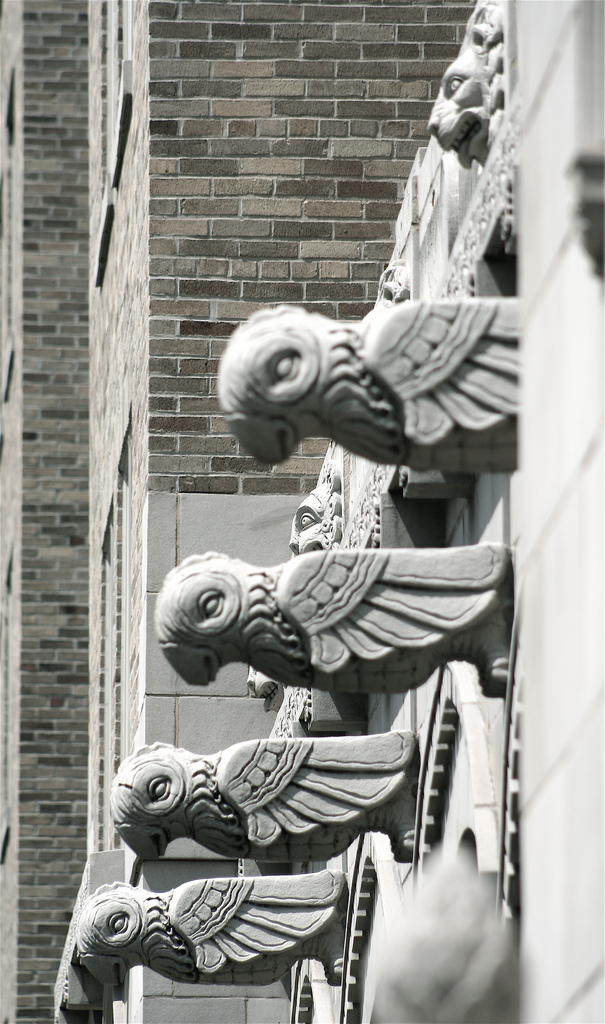 Kiwi's Angels: Parrot Gargoyles