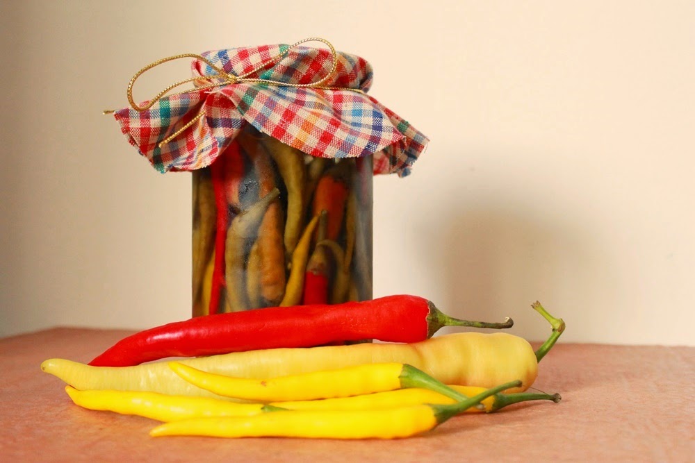 Maje Zmaje: U KUHINJI: Ukiseljene feferonke