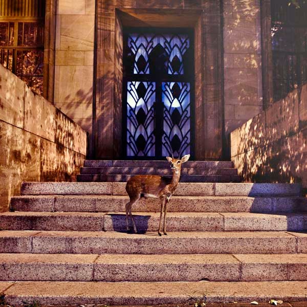 OLTRE IL MURO: ARTE e FOTOGRAFIA: JUSTIN DINGWALL | PHOTOGRAPHER