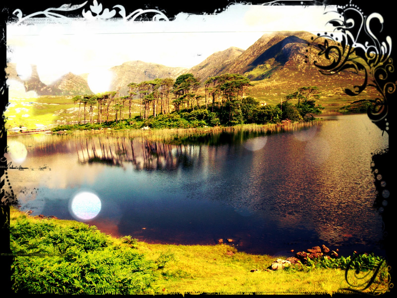 A black cat around the world: Hello St. Paddy, I'm the Lucky Black Bog Cat!