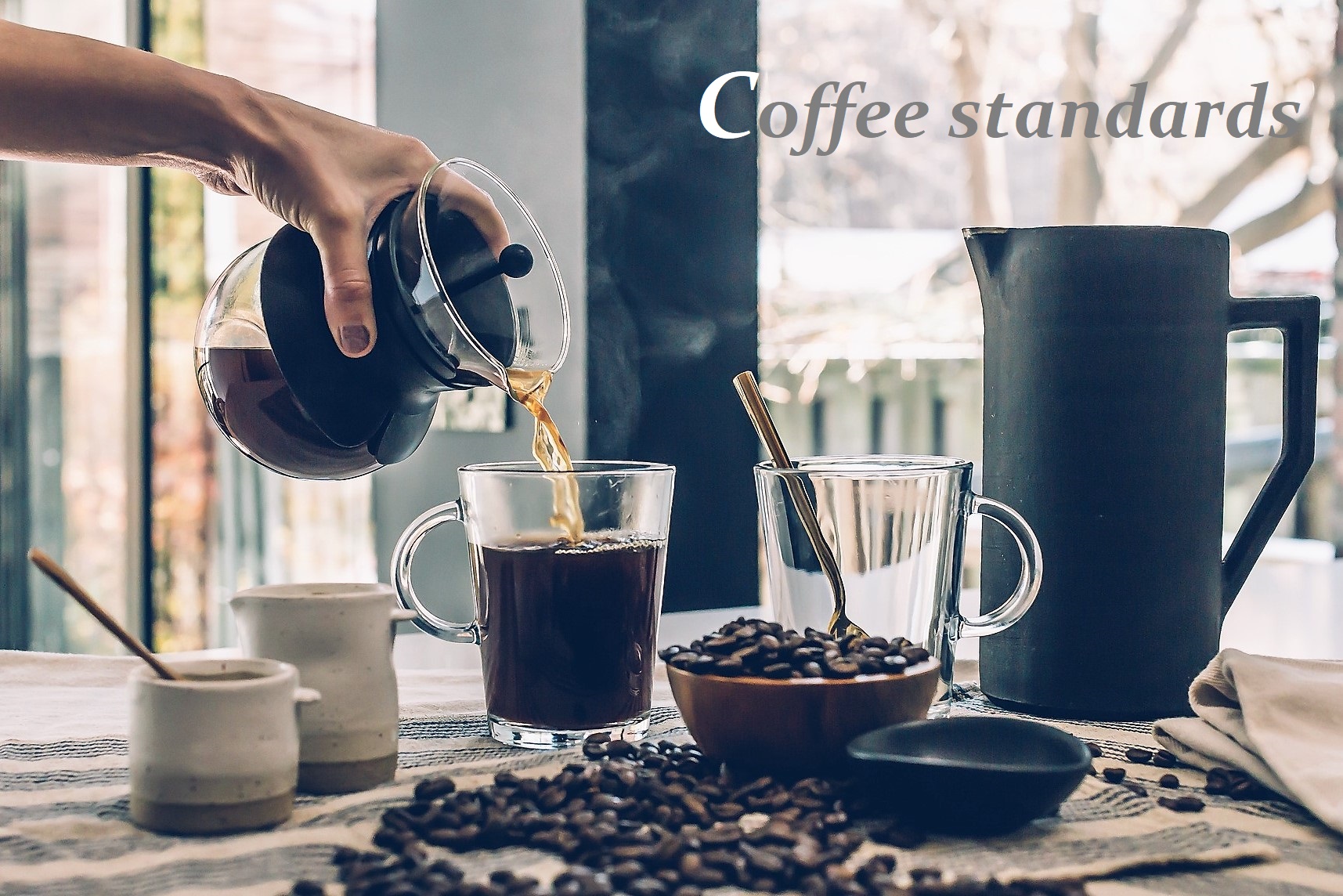Standar Kopi (Coffee standards) Yang Harus Kamu Ketahui