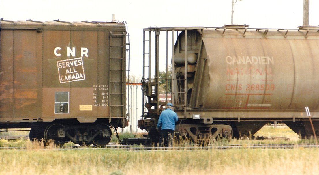 Trackside Treasure: Canada's Grain Fleet - Boxcars