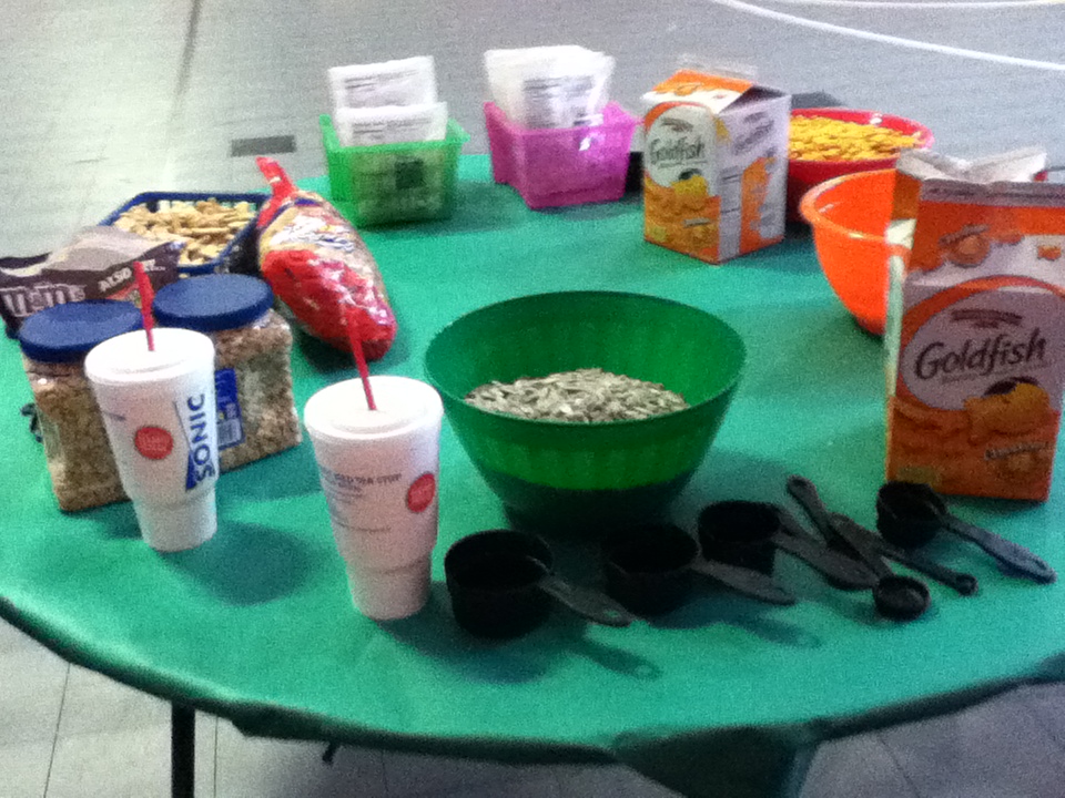 Adorable Candy Bouquet | Elements of Elementary