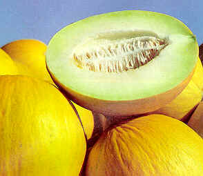 Guia para uma Alimentação Saudável: Os benefícios dos melões e das ...