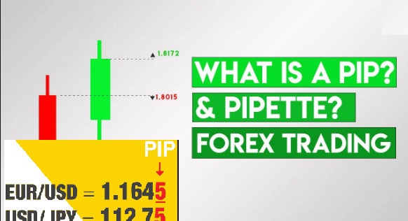 What Is A Pip And What Is Pipette In Forex Trading What Is A Pip And What Is Pipette In Forex Trading