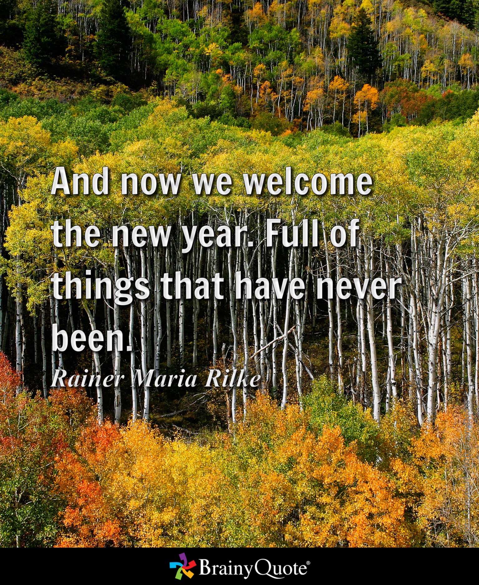 Make This a Great Day: We Welcome the New Year