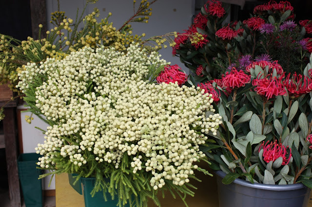 Swallows Nest Farm: November Flowers