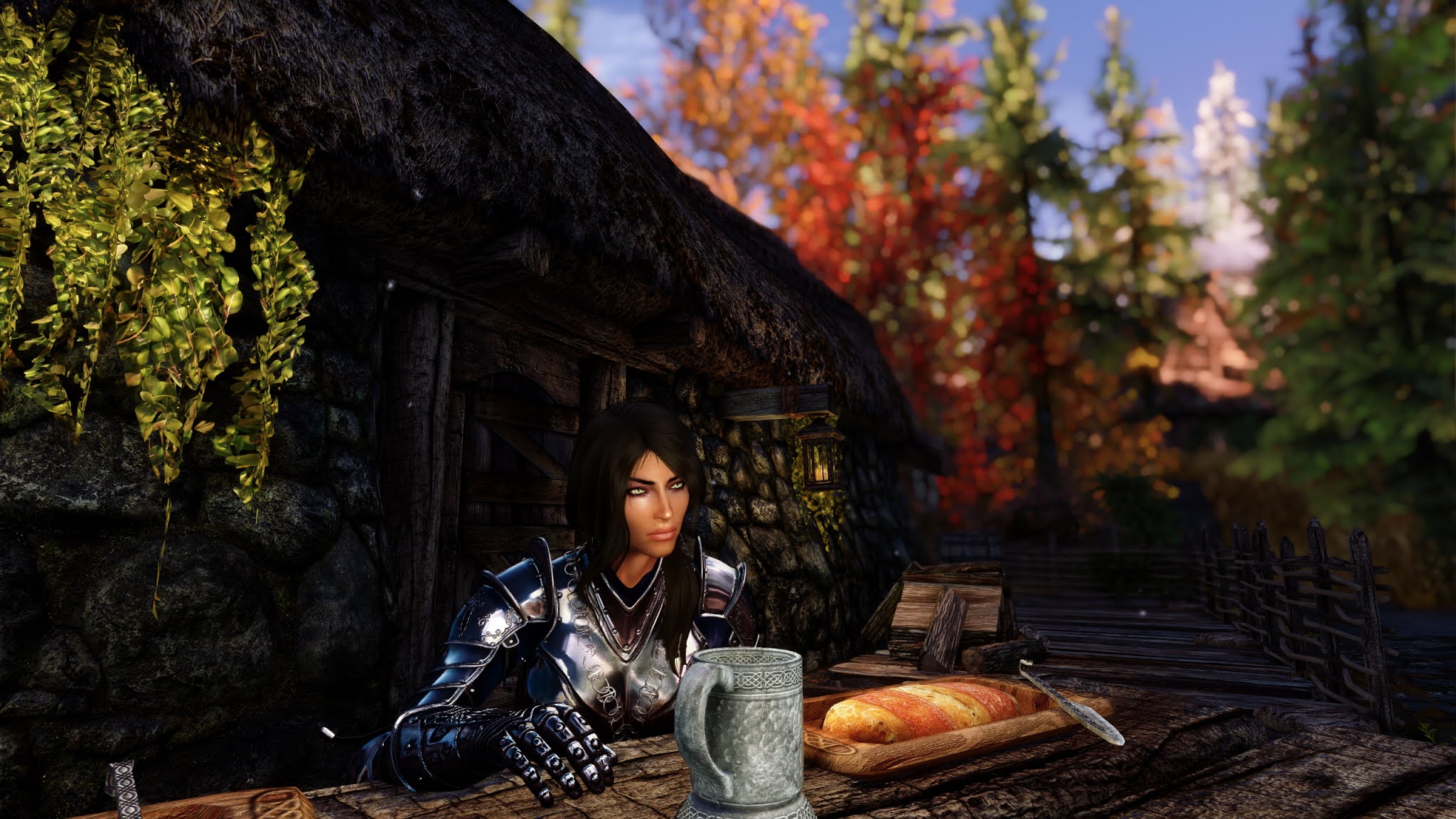 SKYRIM BEAUTIFICATION PROJECT