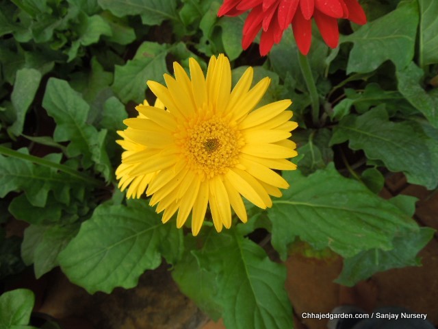 Exploring The New.......