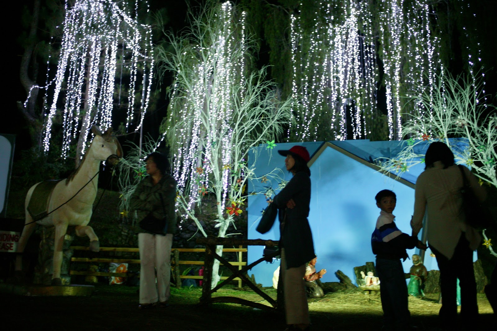 The Mediocre Wanderer: Snowfall At The Baguio Country Club!