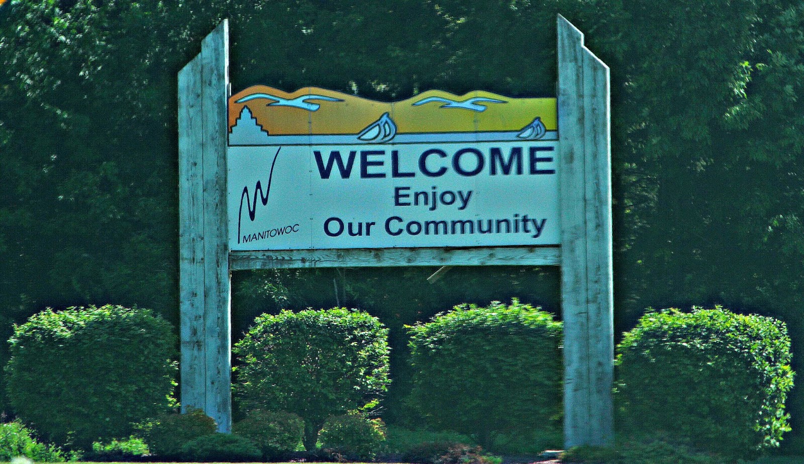 Timber Life: A Visit To The Collins WI Marsh Wildlife Area