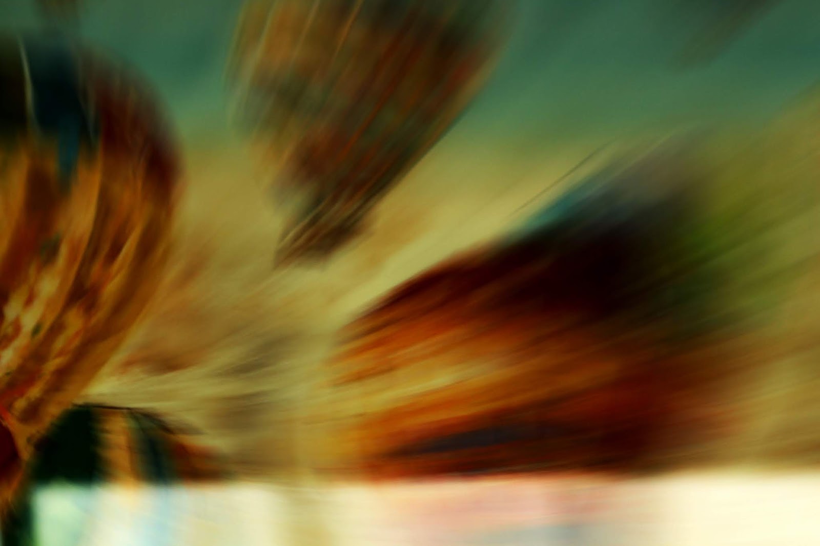 Rotorua Artist Janet Keen's Photography, Mosaics, Paintings & Writing ...