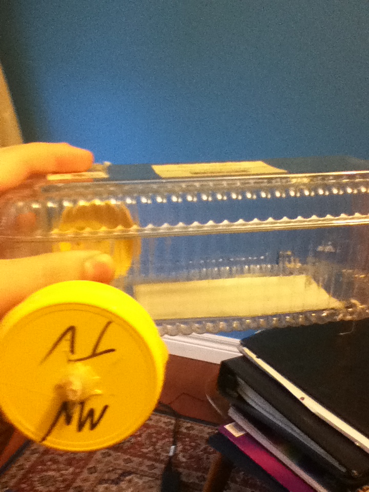 The Balloon Car Log. Marc Nolin and Tommy Vlatas