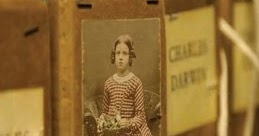 Poetry Matters: Review of Faith Shearin's "Darwin's Daughter"