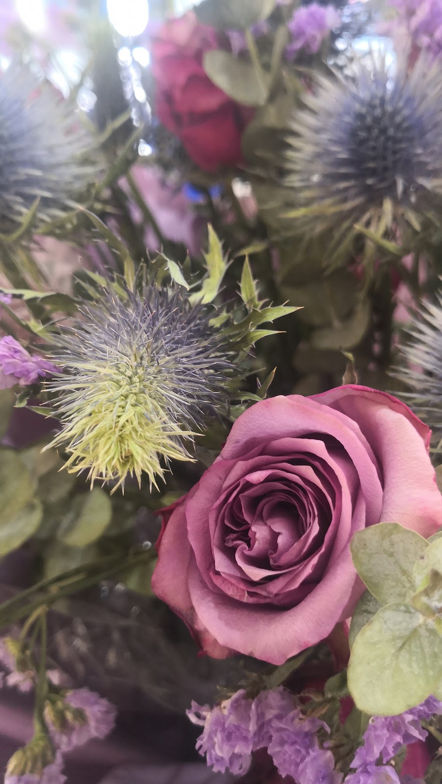 11 tips How to shoot flowers photography