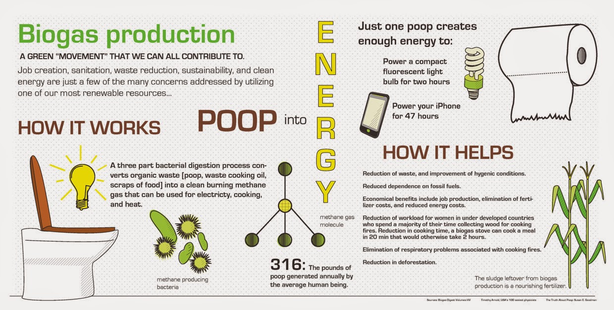 Liberty Generator Biogas Info