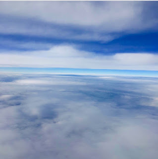 Paintings By Tracy Effinger Upton