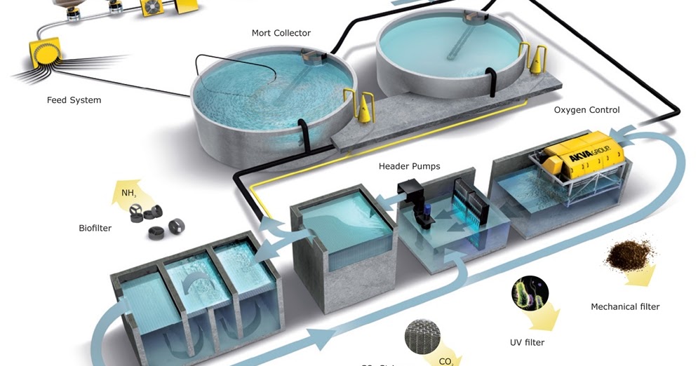 The Recirculation System - NTESCO