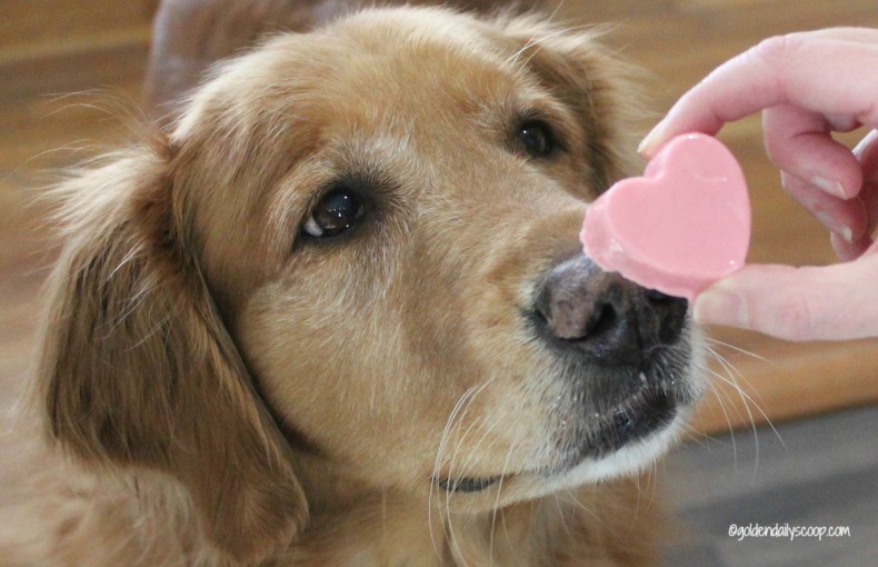 Homemade Valentine Dog Treats