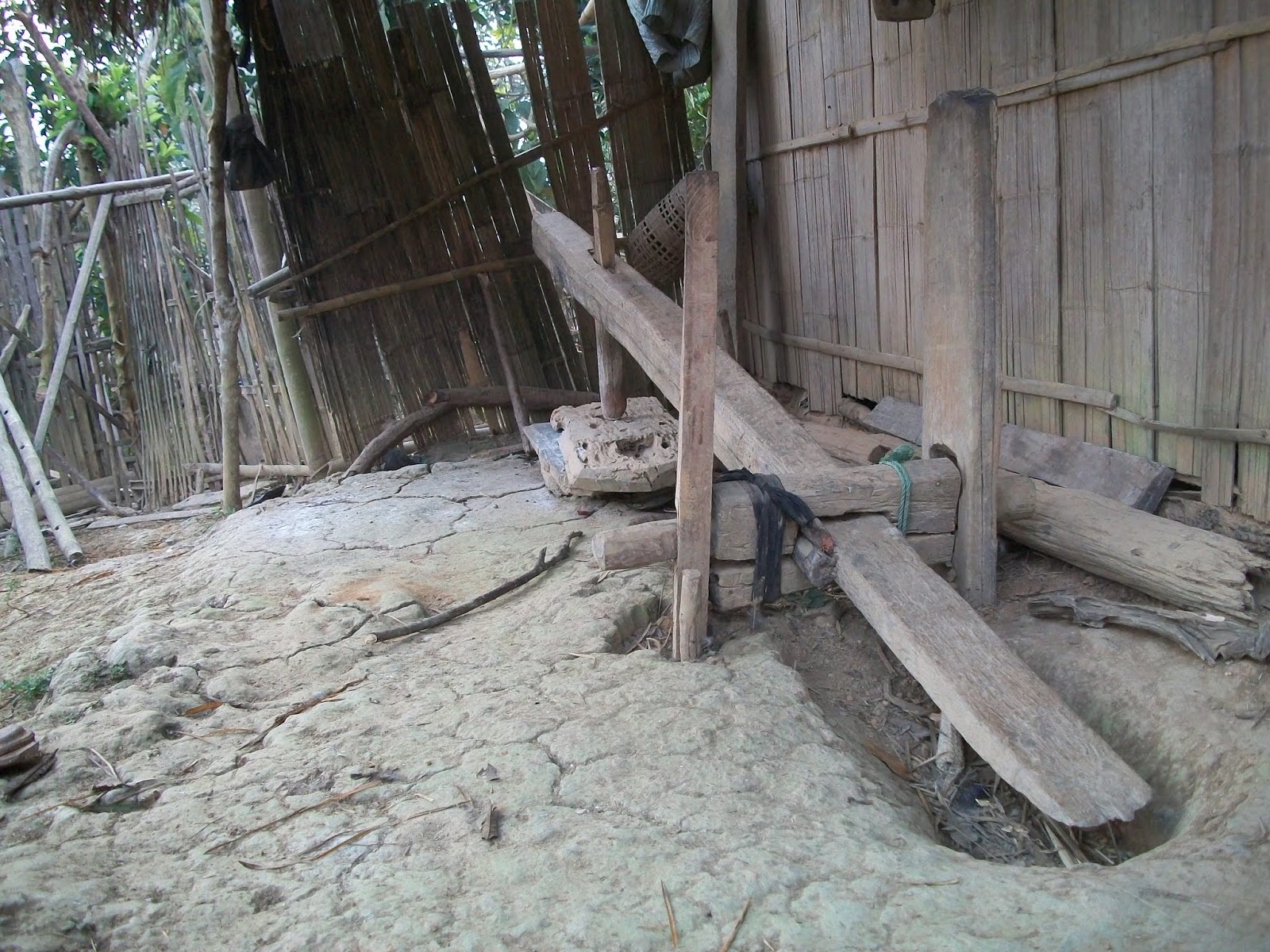 Qhov cos - Berlee Tour