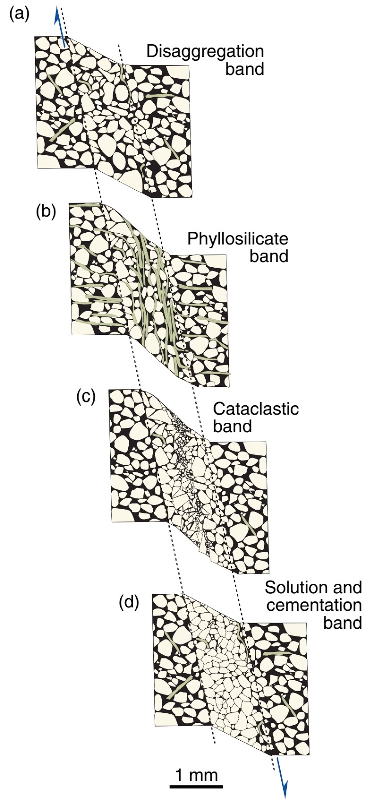 Deformation bands and fractures in porous rocks ~ Learning Geology