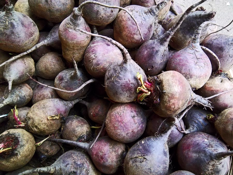 Stock Pictures: Beetroots photographs