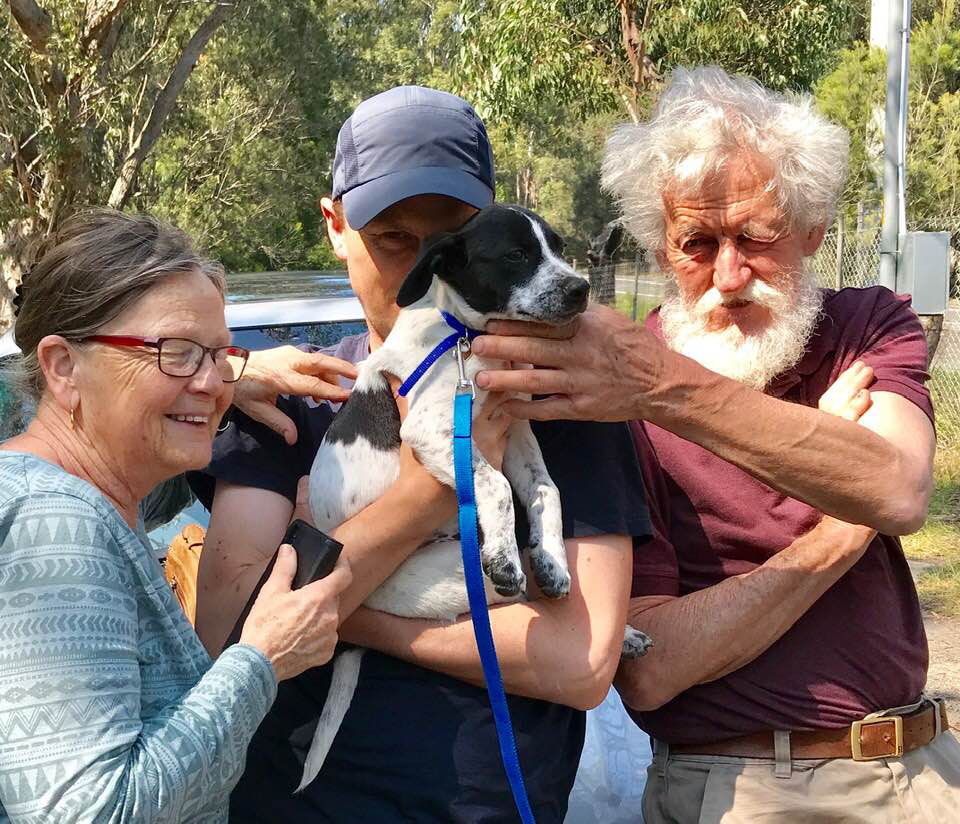 Country dogs find a furever home at Pound Paws event | Australian Dog Lover