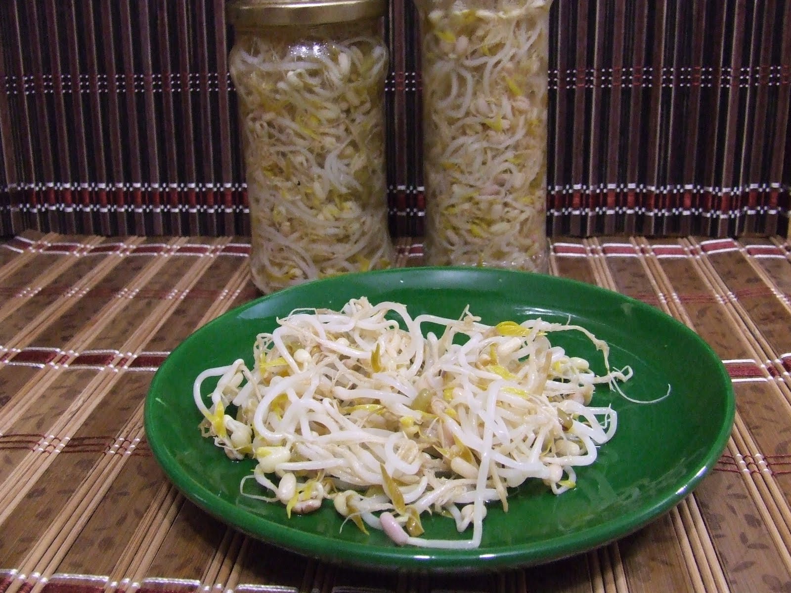 cocina sin problemas: Brotes de soja, germinados y germinadora.