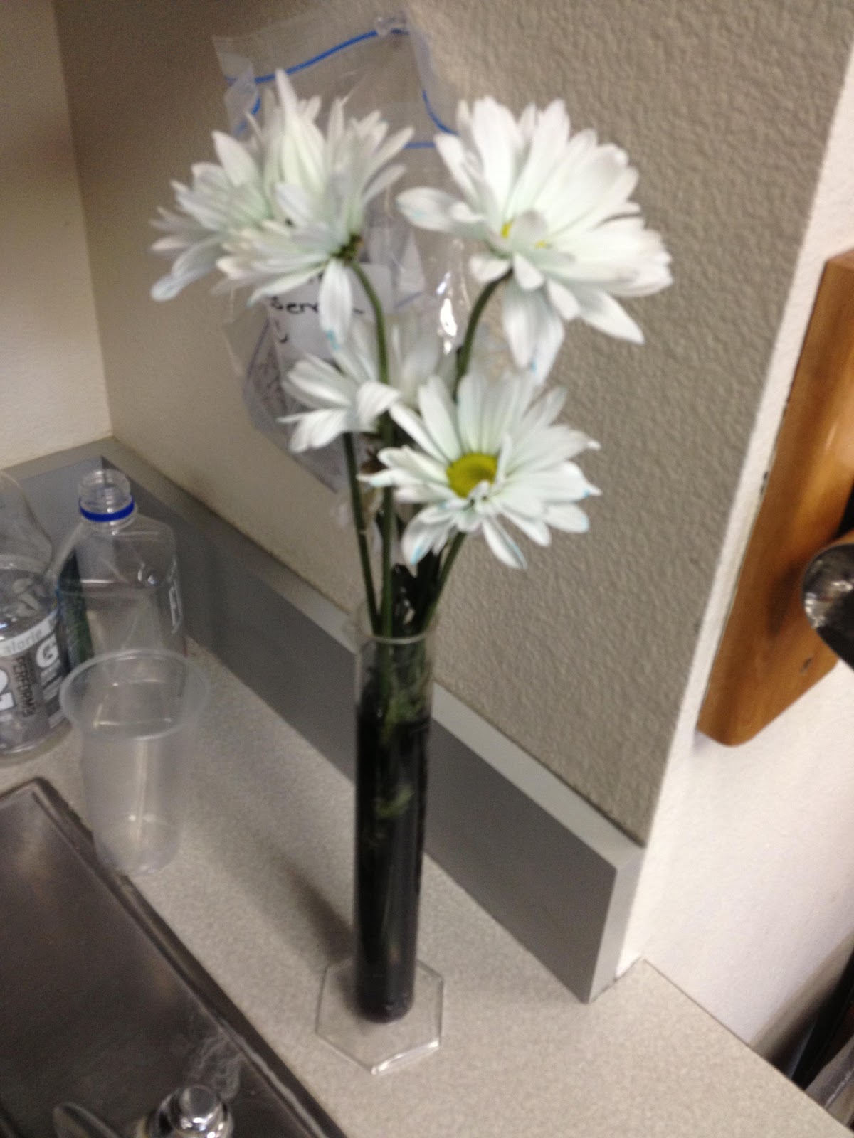 McKenzie Farrell Professional Portfolio: Science Lab Pictures