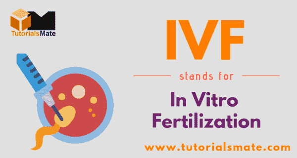 IVF Full Form: What is the full form of IVF? - TutorialsMate