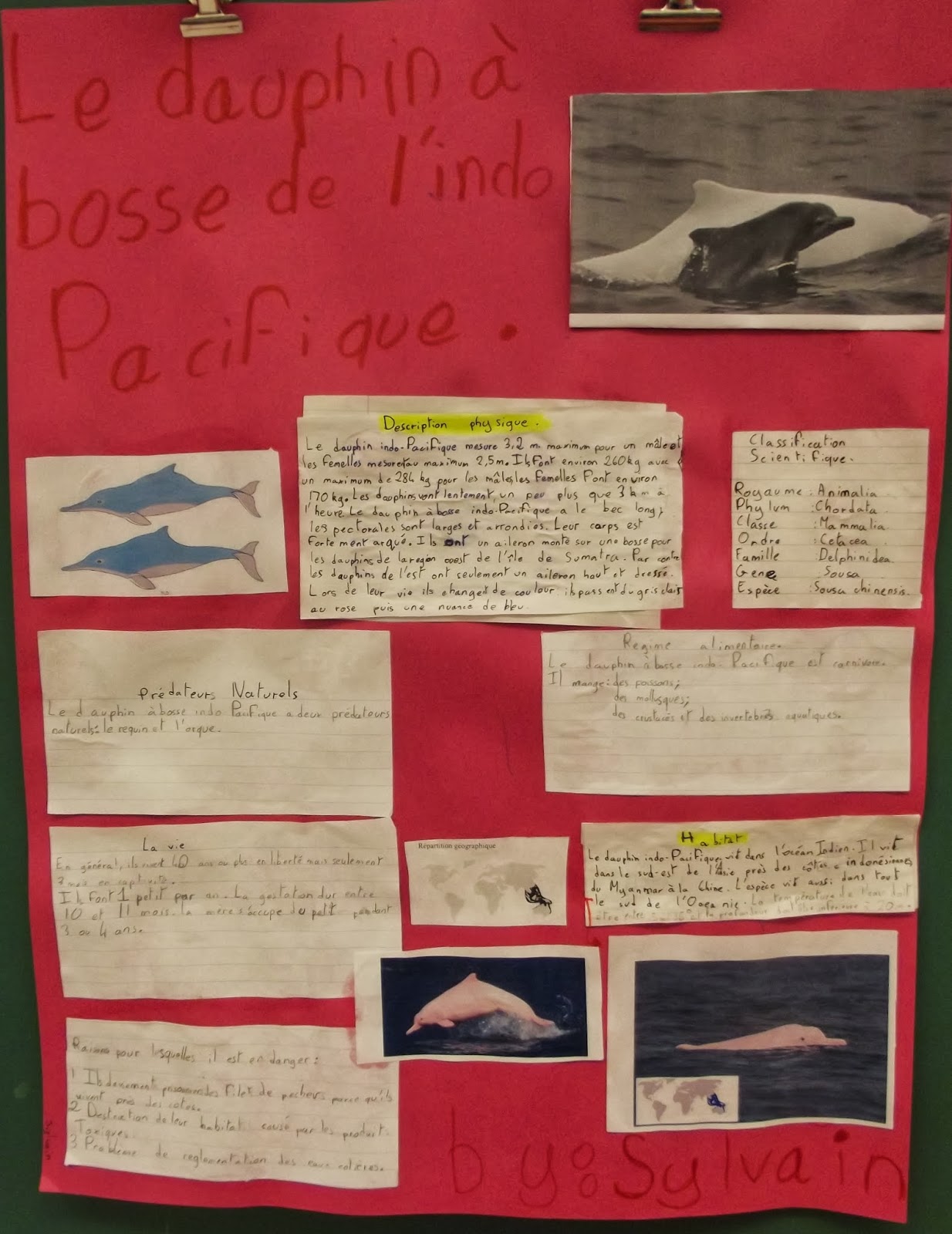 Room 13: Endangered Species Science Projects by Grade 6 Students