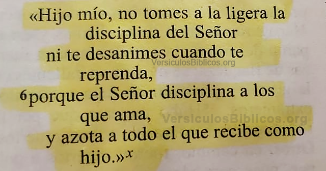 Hebreos 12:5-6 - Versículos Bíblicos