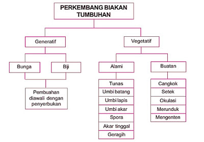 Belajar IPA #dirumahaja: Bab 2. Sistem Perkembangbiakan Tumbuhan dan Hewan (Materi 1. Sistem ...