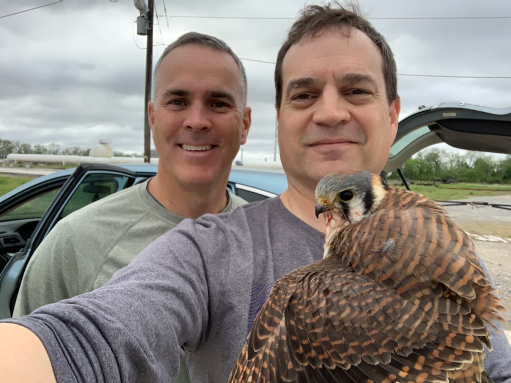 15th Red-tail Season: Matthew Mullenix trains an American Kestrel