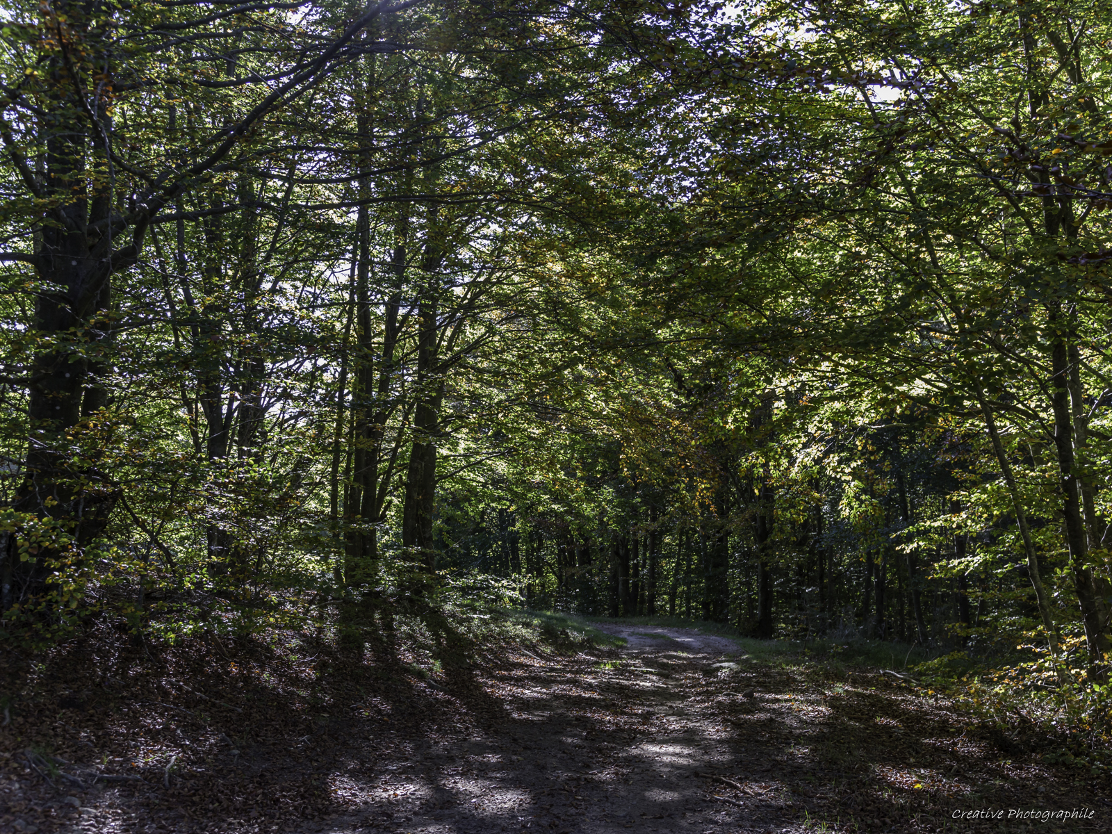 Creative Photographile