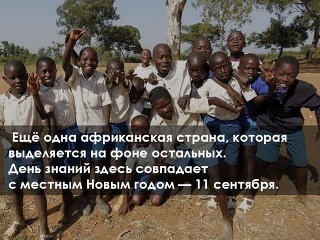 Библиокомпас 1 сентября День знаний