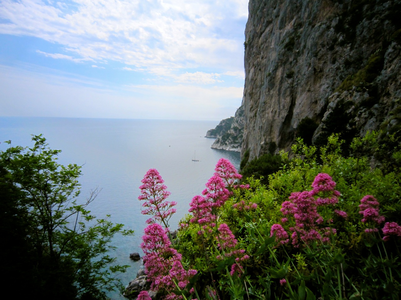 A Minute in the Life of Maria: Capri, Italy