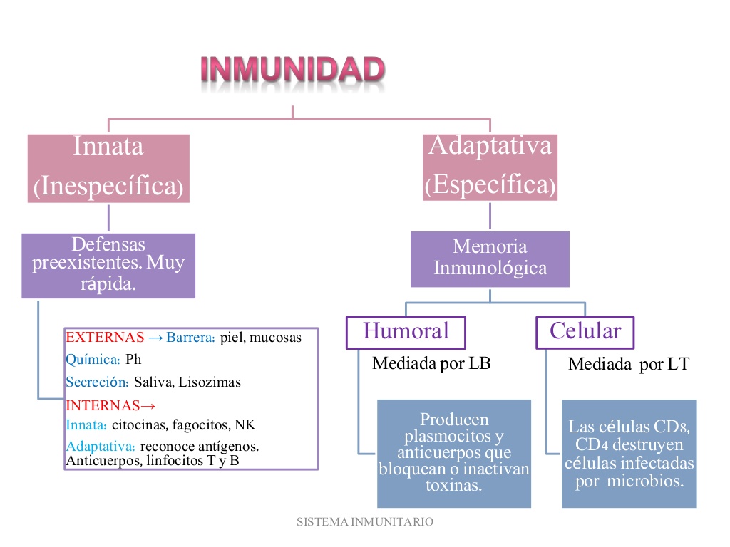 BIOLOGÍA 3: SISTEMA INMUNE