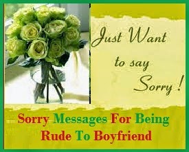 Sorry Messages : Being Rude