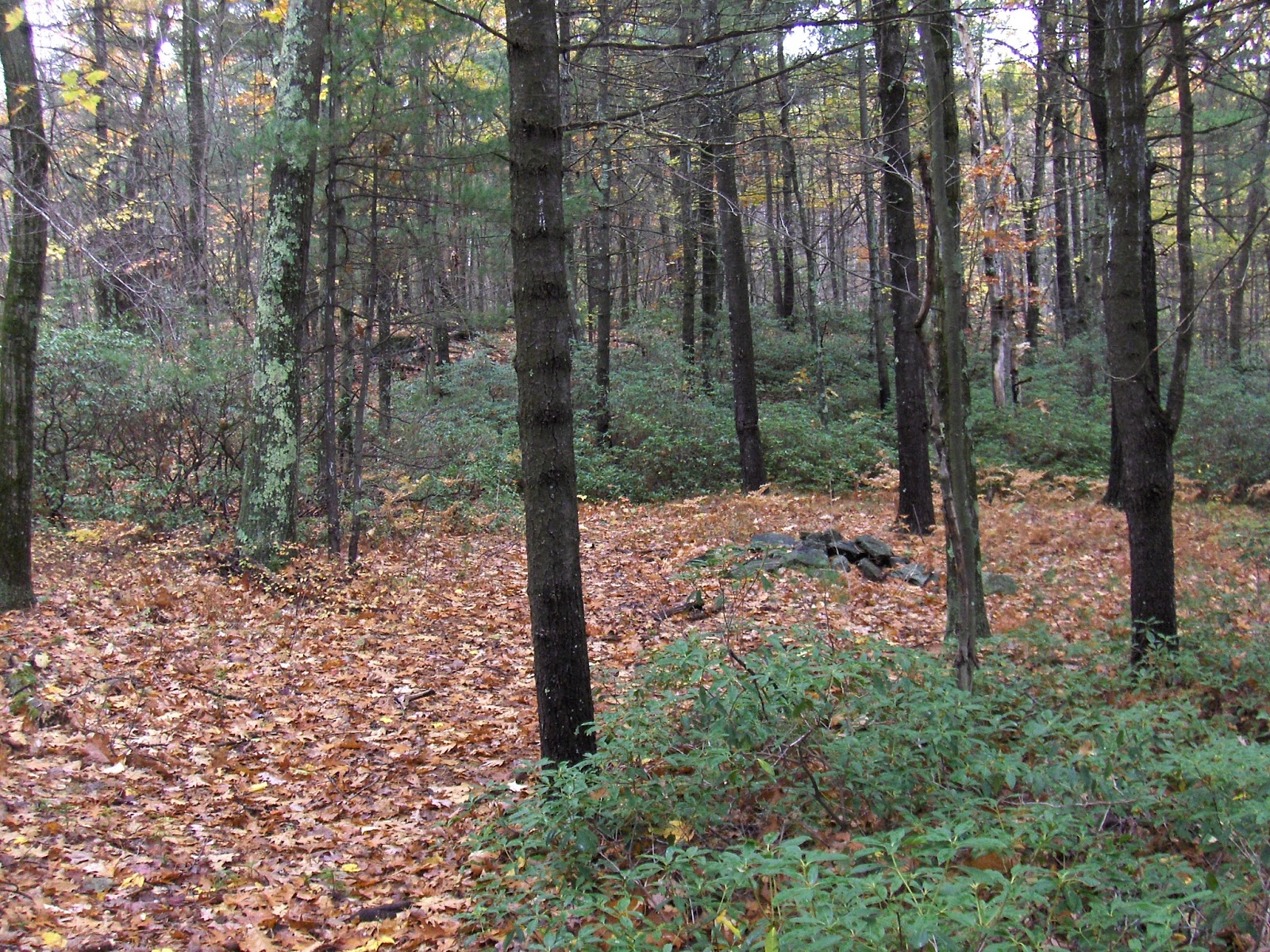 Rock Piles: Off in the woods