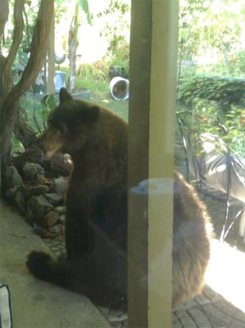 NEVER...EVER...GIVE UP HOPE : When a Day at the Zoo Turns into a Horror ...